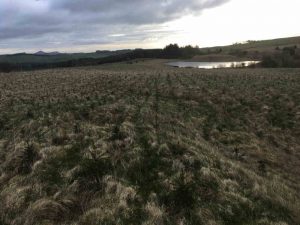 Mounding – Forestry Ground Prep Ltd