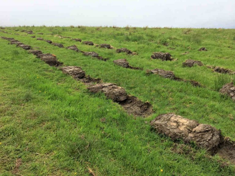 Mounding – Forestry Ground Prep Ltd